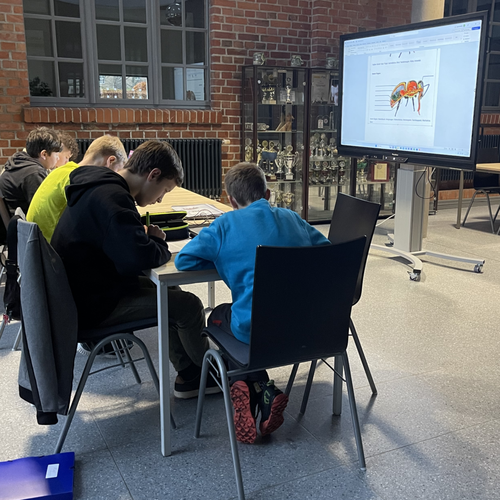 KSG Akademie Update!